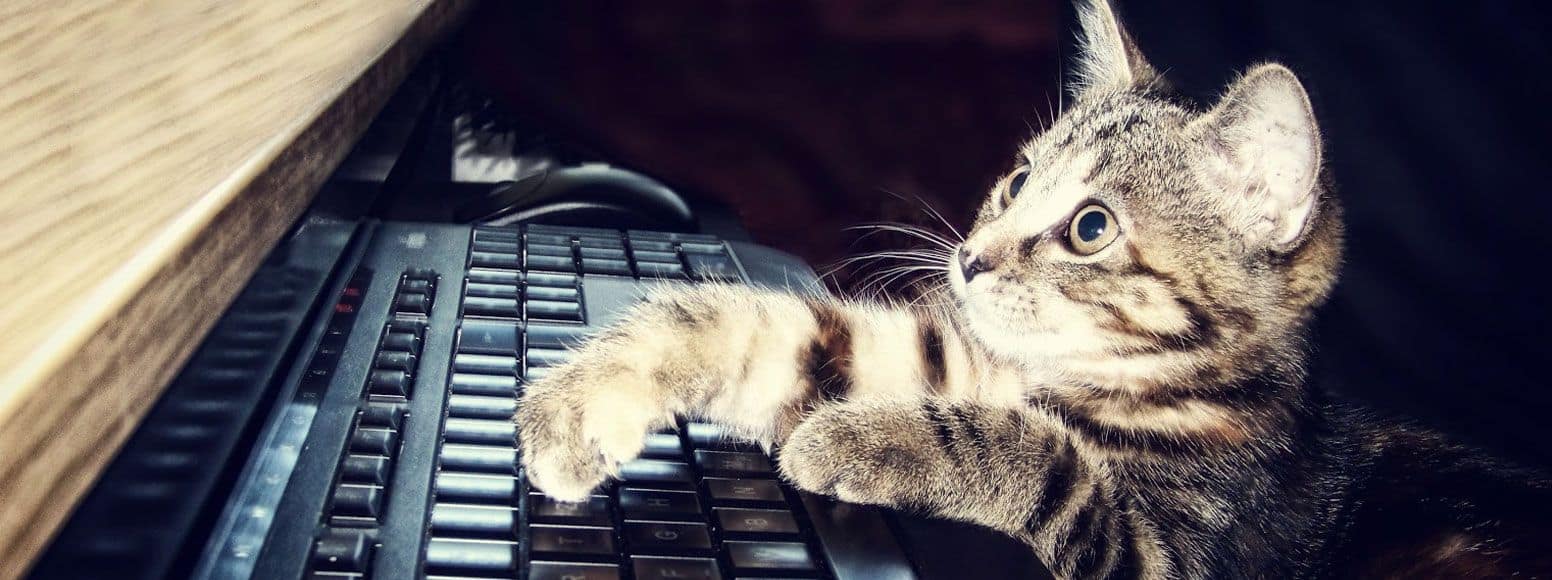 11 Development Tools That Take The Sting Out Of Testing Mobile Apps Blog