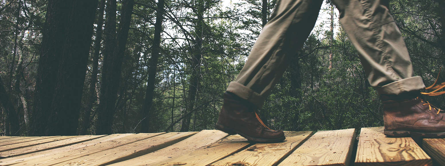 5 Visual Design Tips You Can Learn from Nature - Proto.io Blog